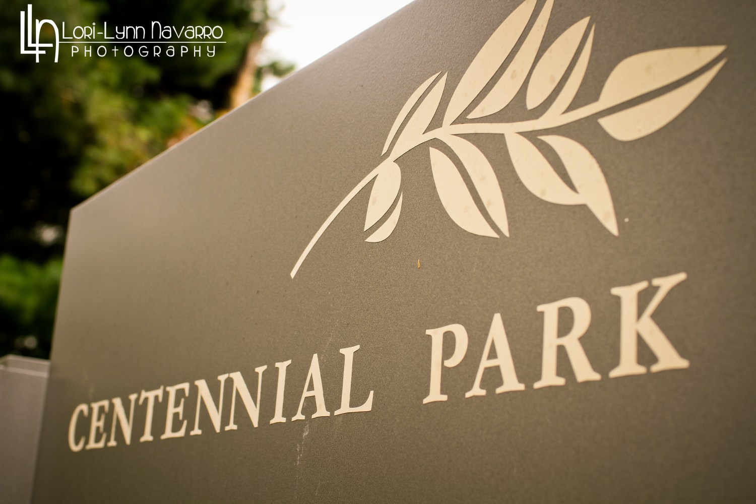 The Nashville Parthenon with Chad and Emily Rickard | Lori-Lynn Navarro ...